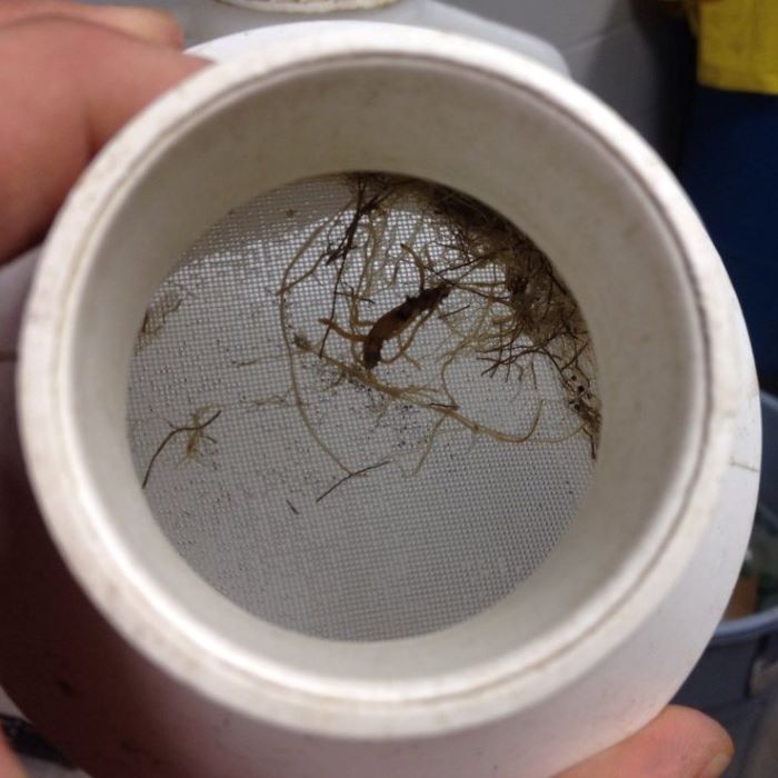 Root Washer - Vienna Scientific