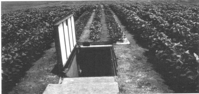 Rhizotrons & Root Windows - Vienna Scientific