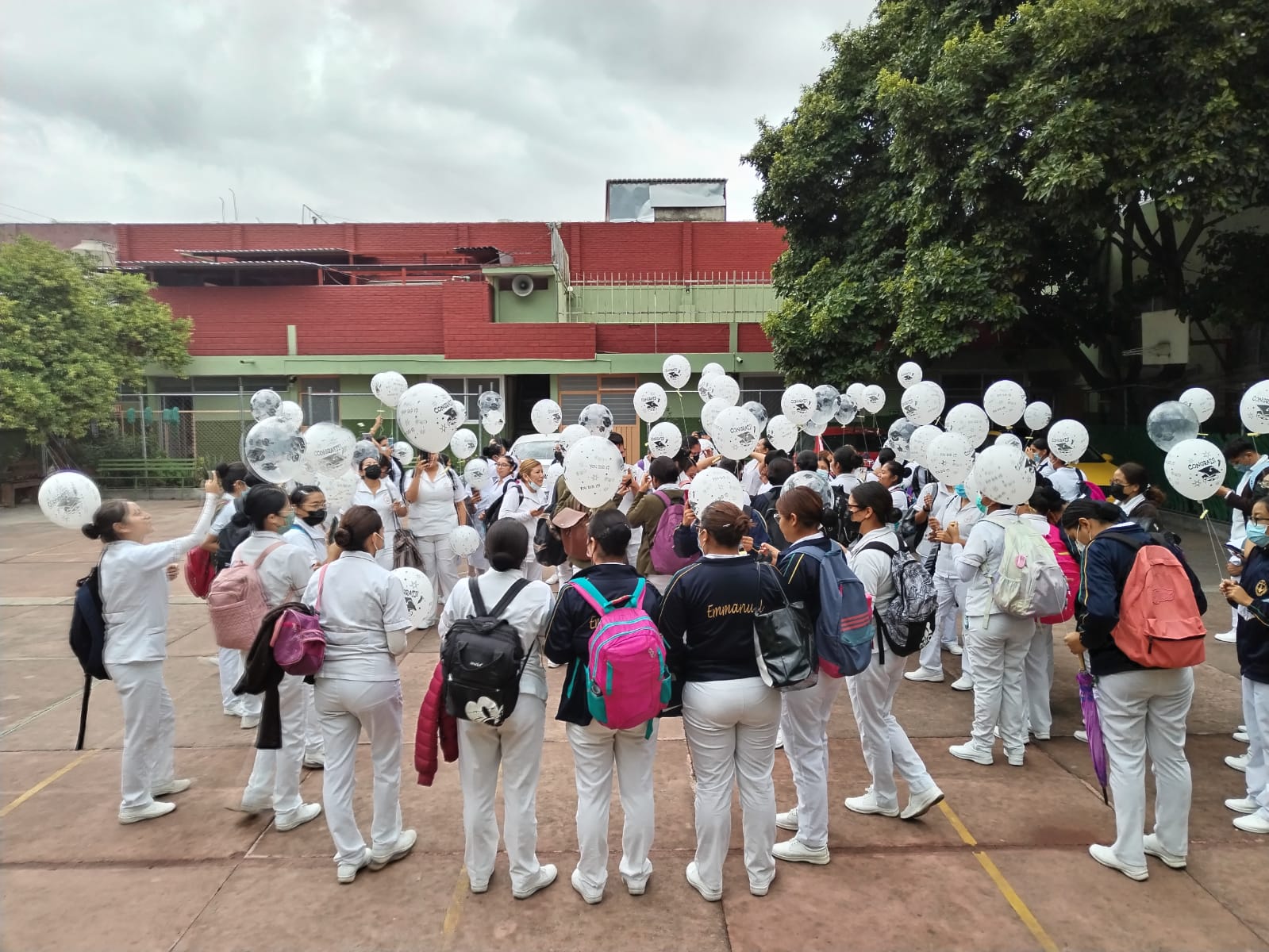 ¿QUIENES SOMOS? - Página web de acapa