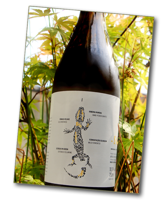 Arribas Wine Company | Saroto 2018 Branco - VinhoPortugal