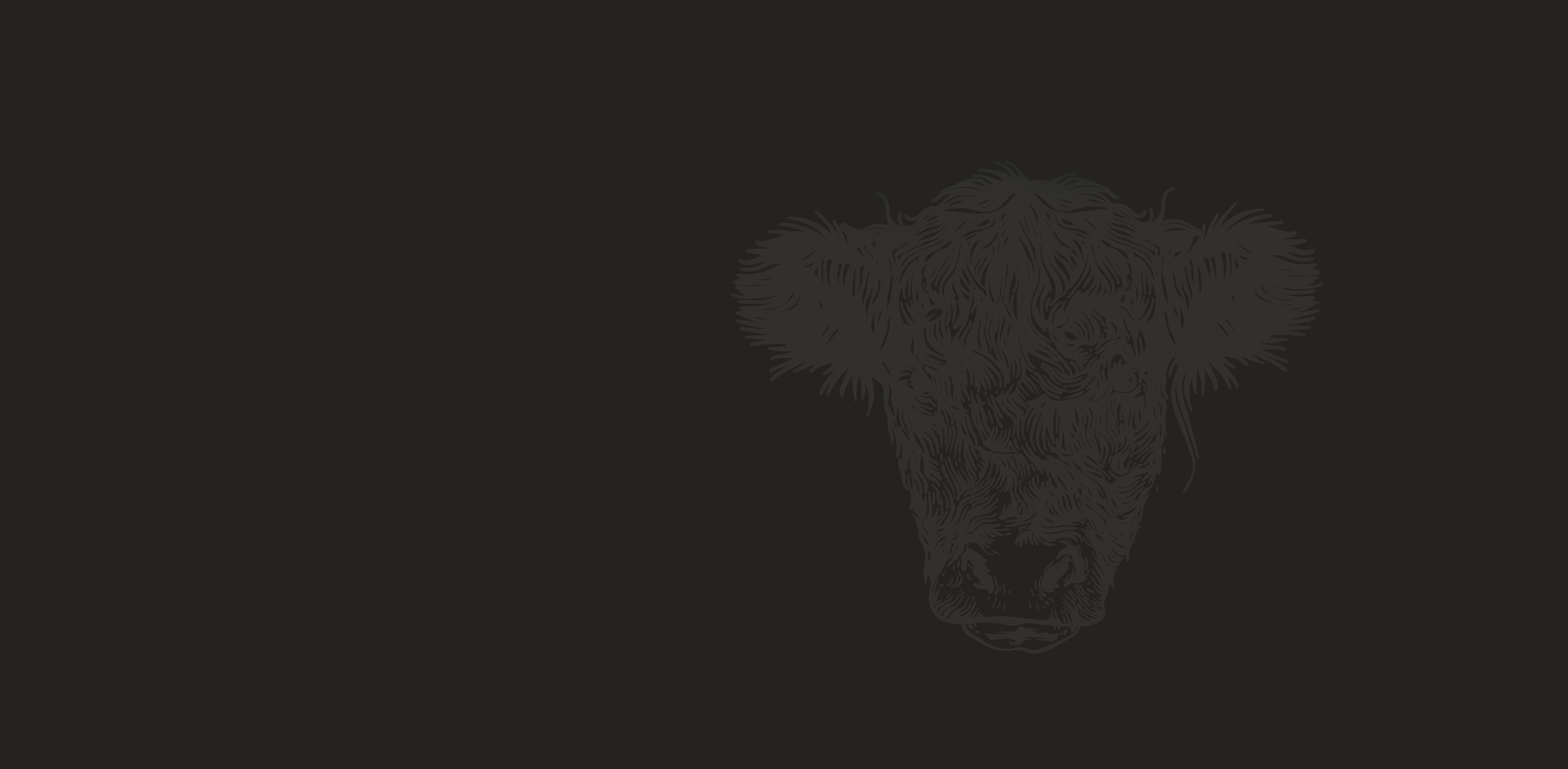 Galloway Natura-Beef - Meister Beef - Galloway-Zucht im Emmental