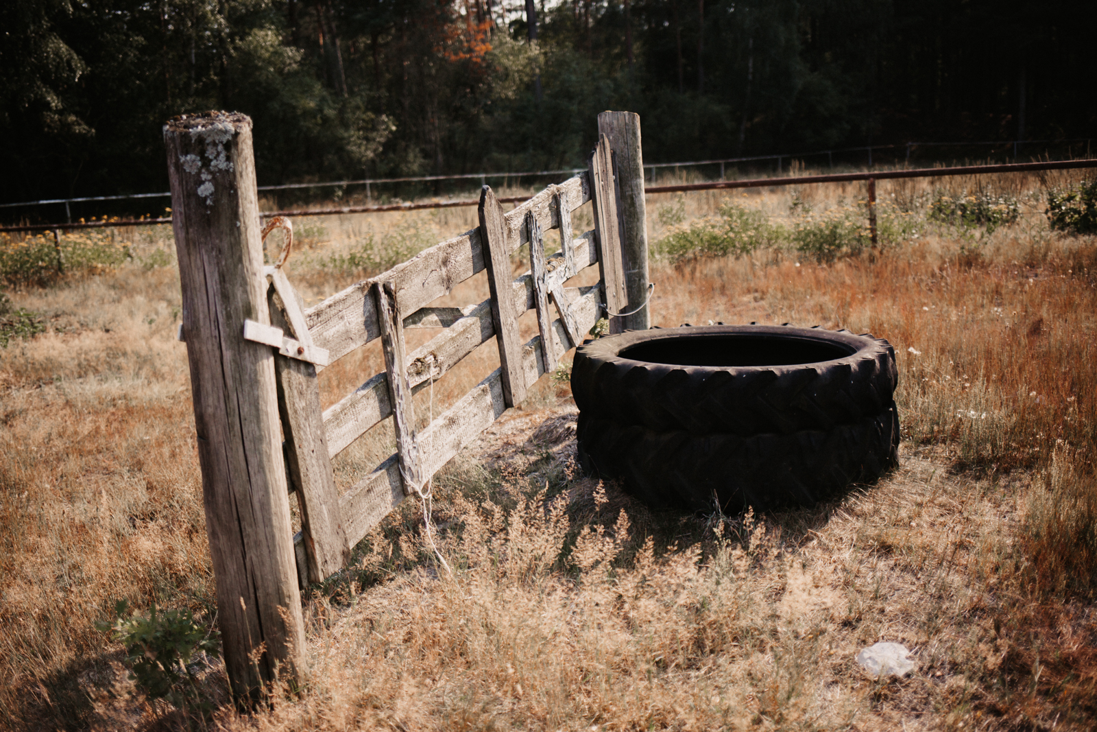 Ranch - Busch und Walker