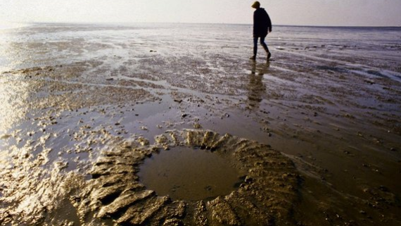 Rungholt und die Fakten - rungholt-ausstellung-husum Webseite!