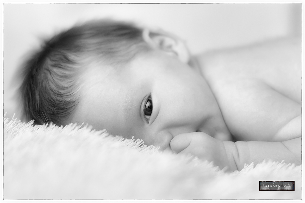 Bebés - Página Jimdo de tabernerfotografia