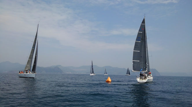 ここから2018年のコーナー - 長崎県外洋帆走協会