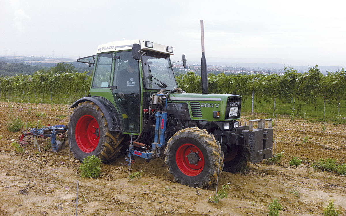 Über uns - Weingut Rainer Bauer