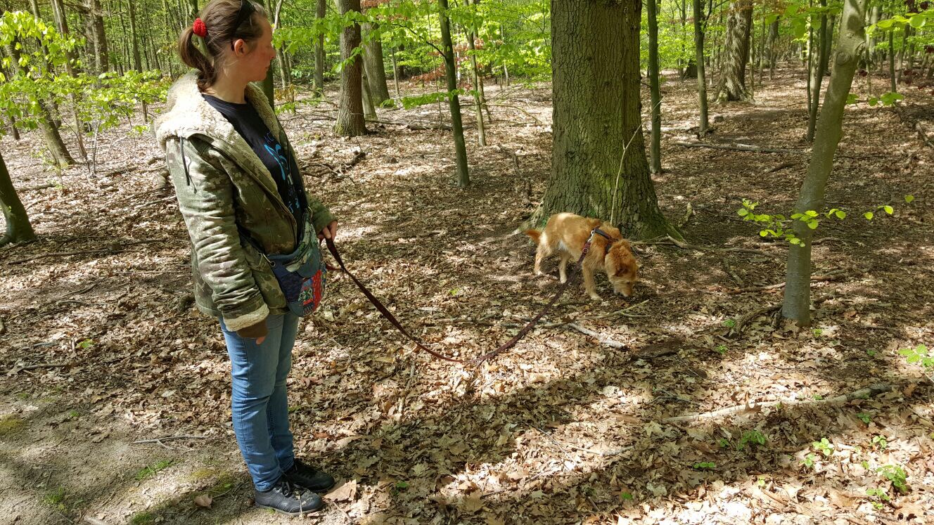 Slow down - De website van snuffeltuinen!