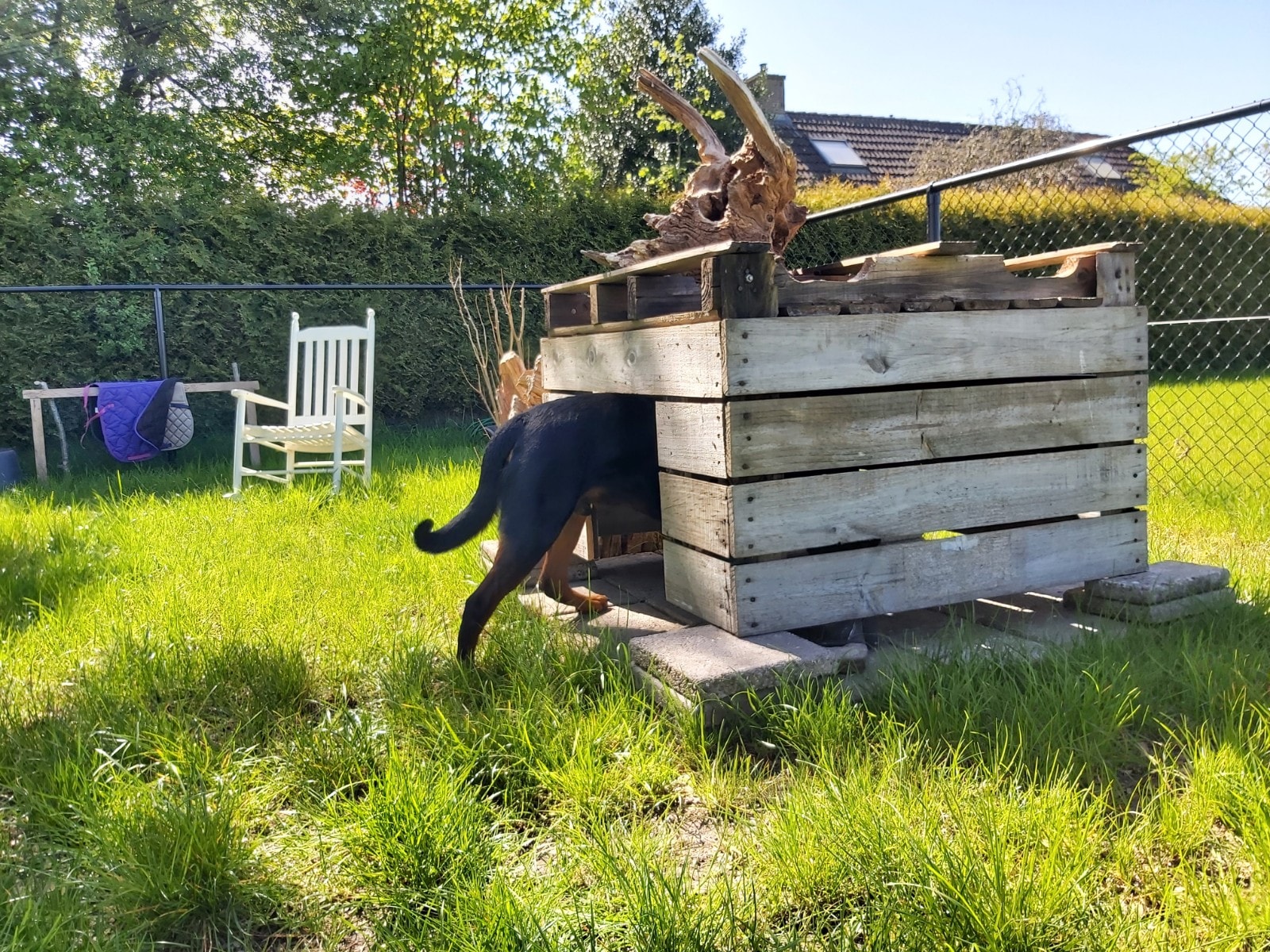 Friesland - Noordwolde - Zuid - De website van snuffeltuinen!