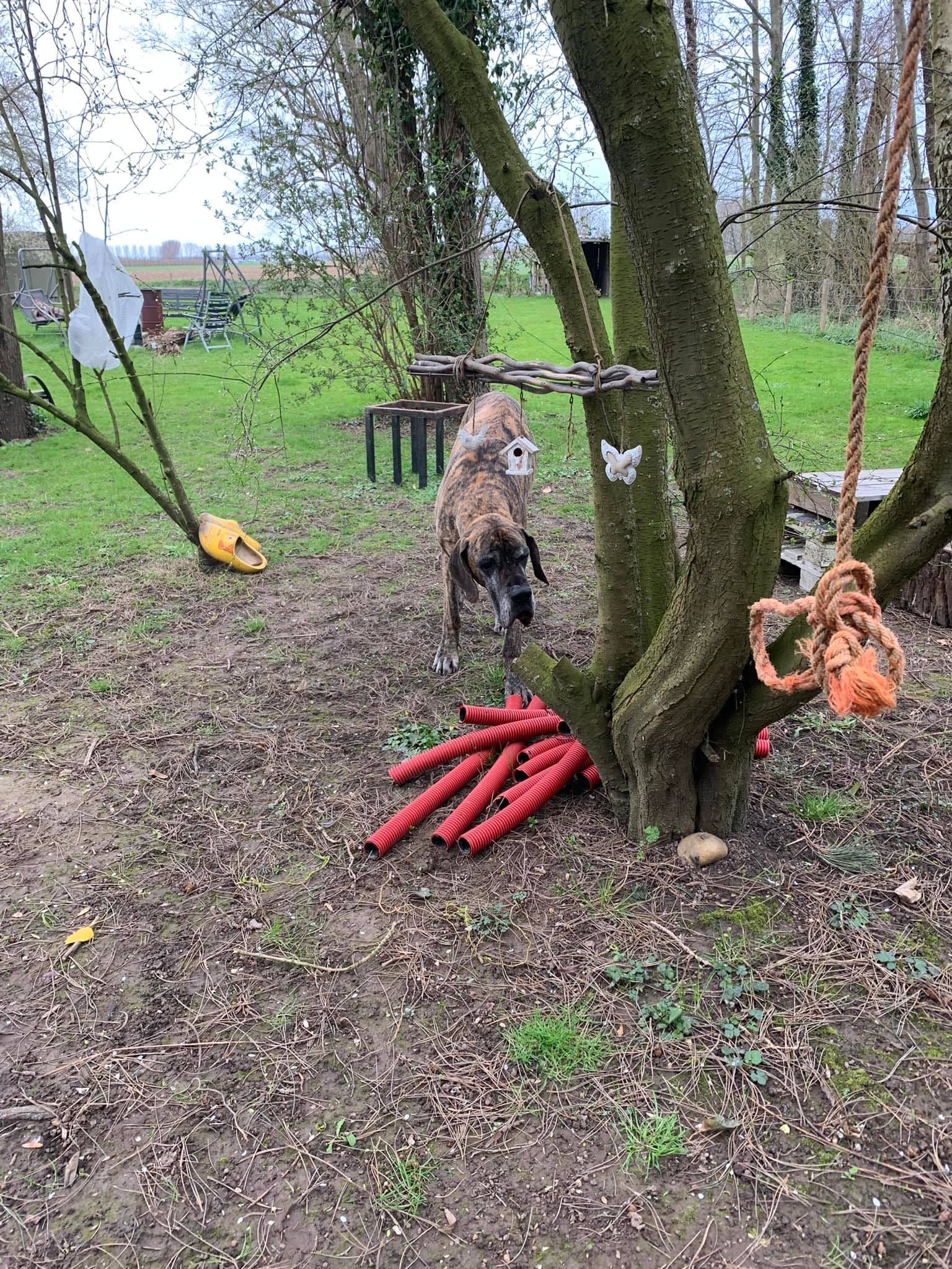 Gelderland - Herwijnen - De website van snuffeltuinen!