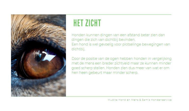 Gratis templates over zintuigen - De website van snuffeltuinen!