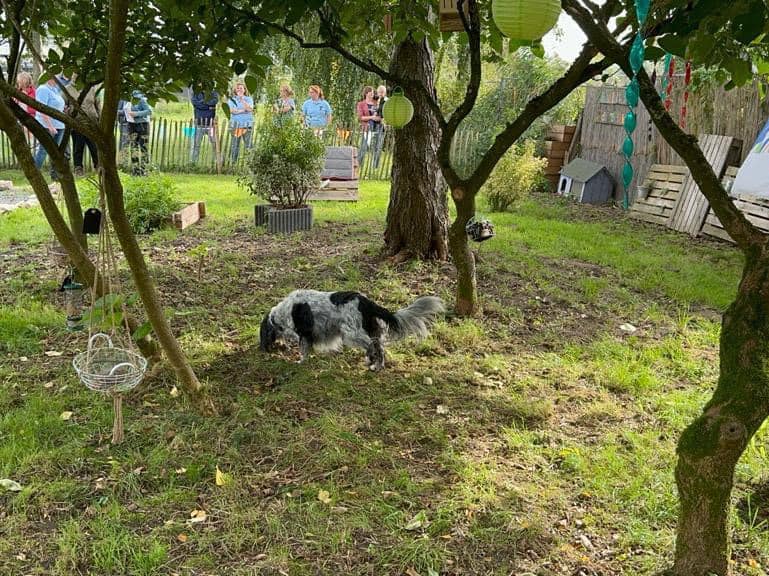 Snuffeltuin in asiel in NL - De website van snuffeltuinen!