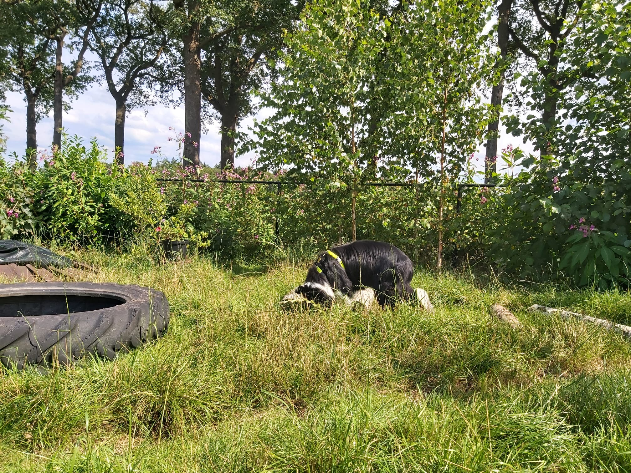 Hoe ziet een Snuffeltuin eruit - De website van snuffeltuinen!
