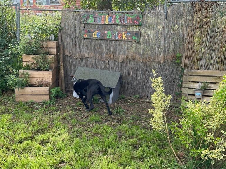 Snuffeltuin in asiel in NL - De website van snuffeltuinen!