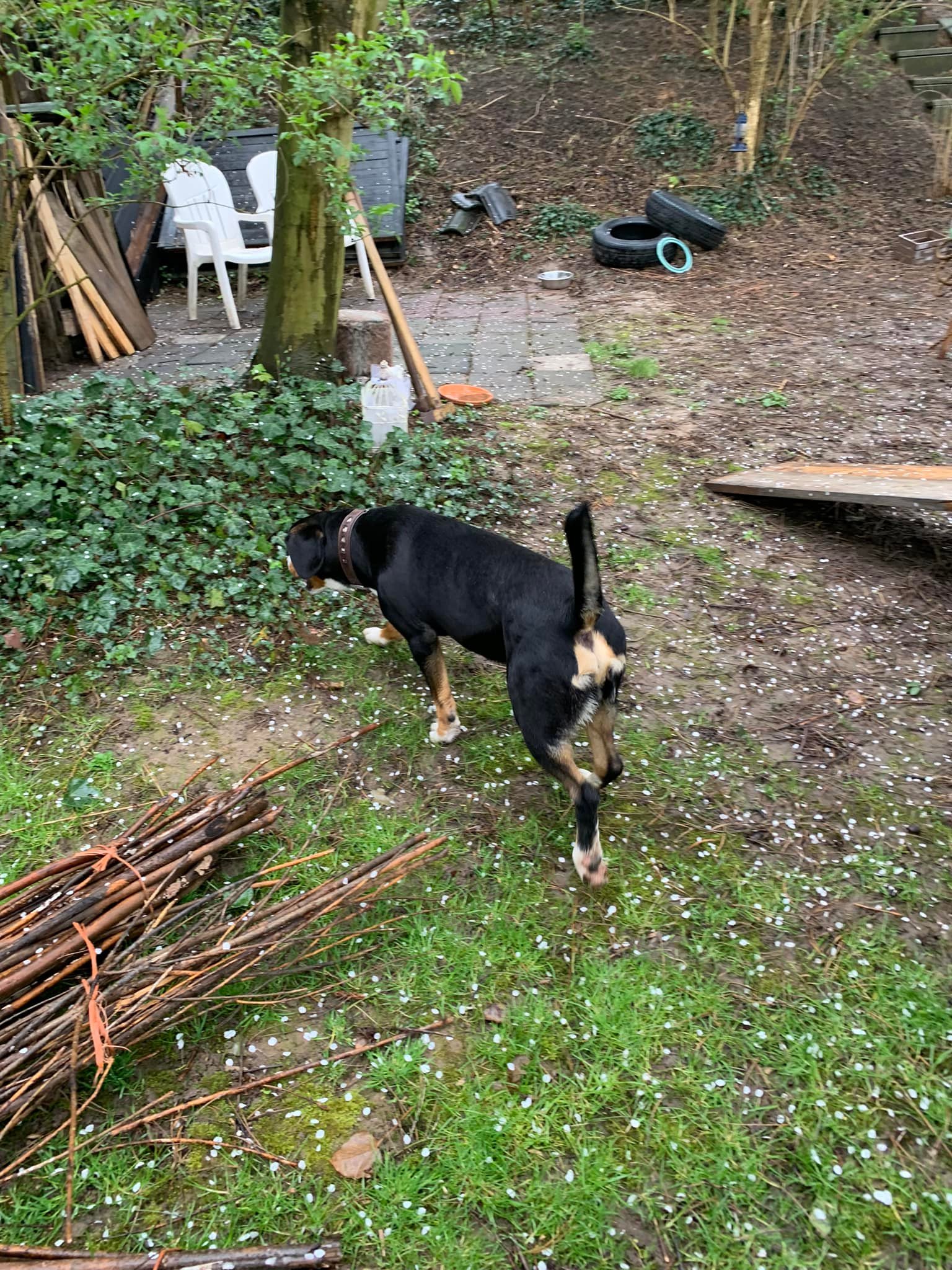 Gelderland - Herwijnen - De website van snuffeltuinen!