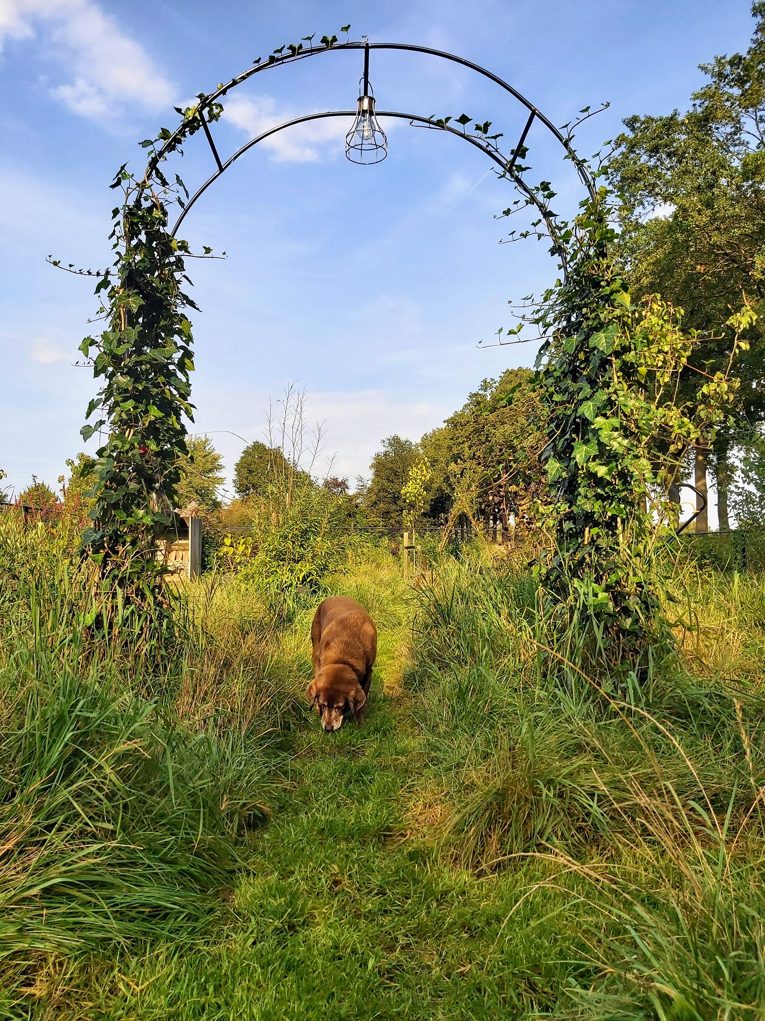 Snuffeltuin vinden - De website van snuffeltuinen!