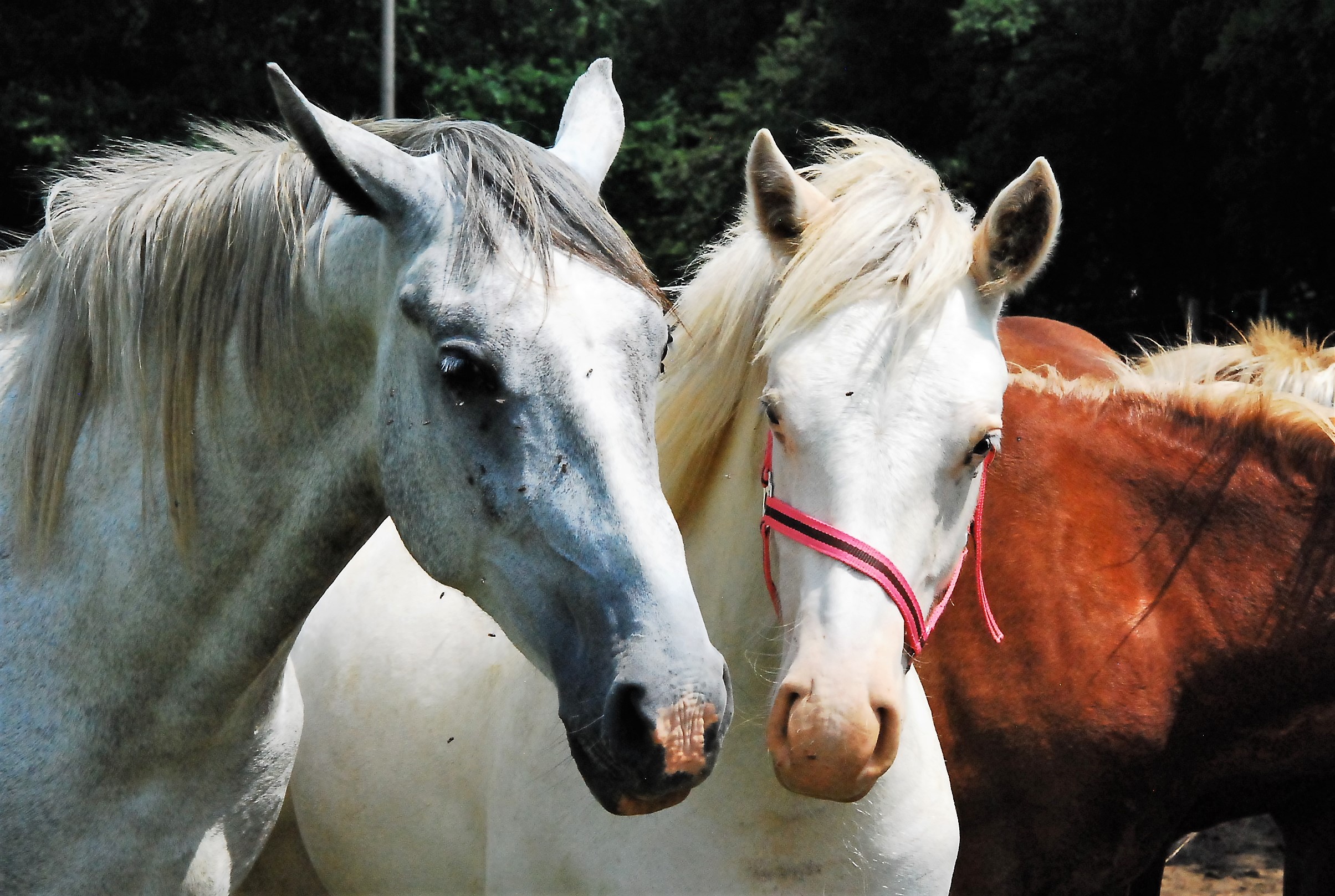 Herzlich wilkommen auf unserer seite- einer seite von und für unsere ...