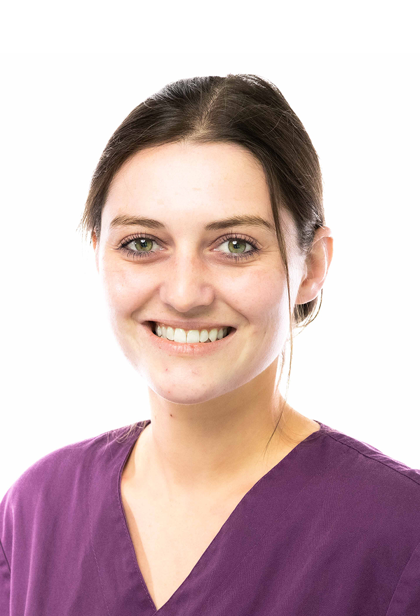 Team - sandralangners Webseite!