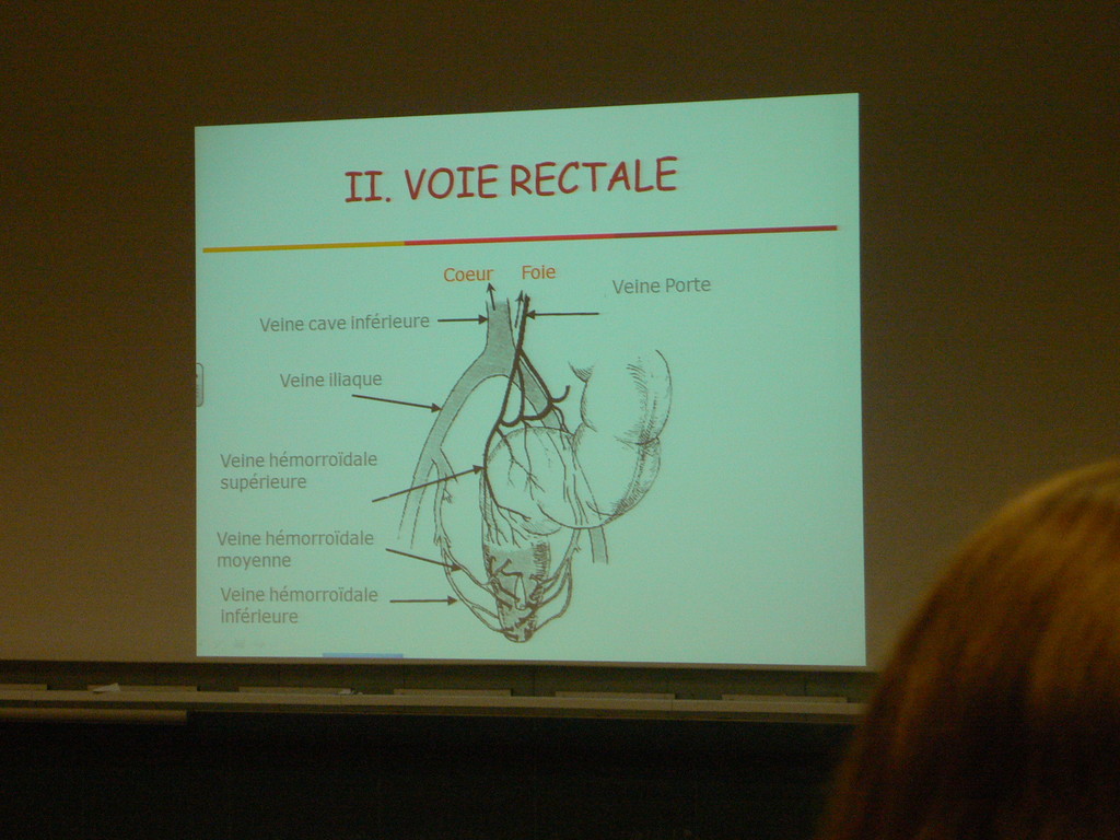 La voie rectale - Site Jimdo de interim-artistes!