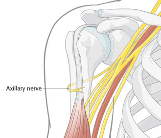 axillary nerve course
