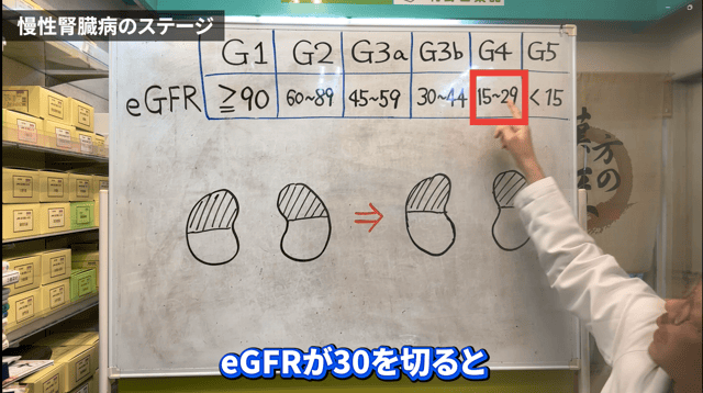 腎機能を回復させる【eGFRが低い、クレアチニンが高い、透析はしたくない】 - 有野台薬品｜慢性鼻炎・後鼻漏・アトピー・痔・不妊